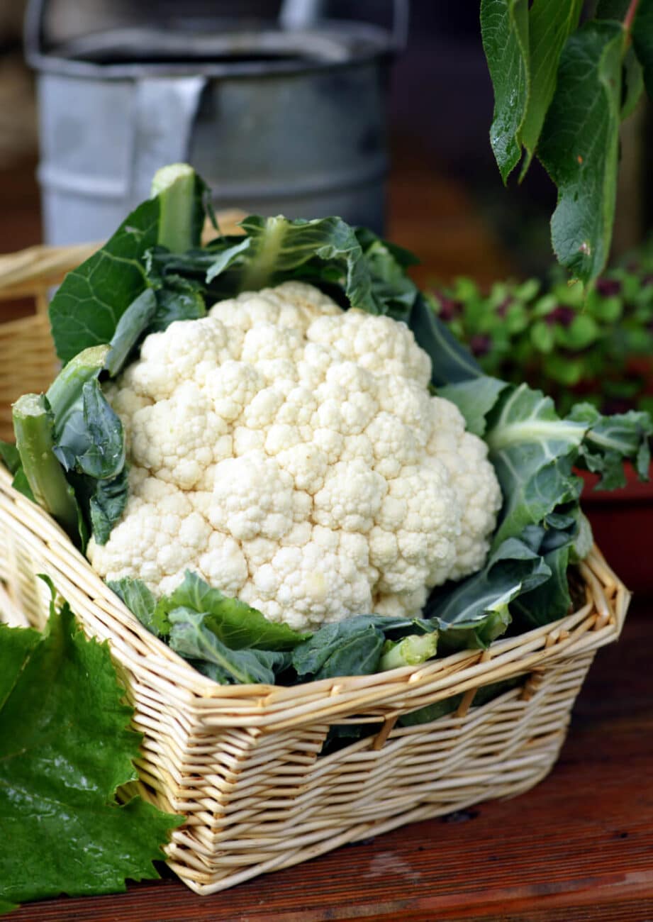 Blumenkohl | Gemüse Lexikon