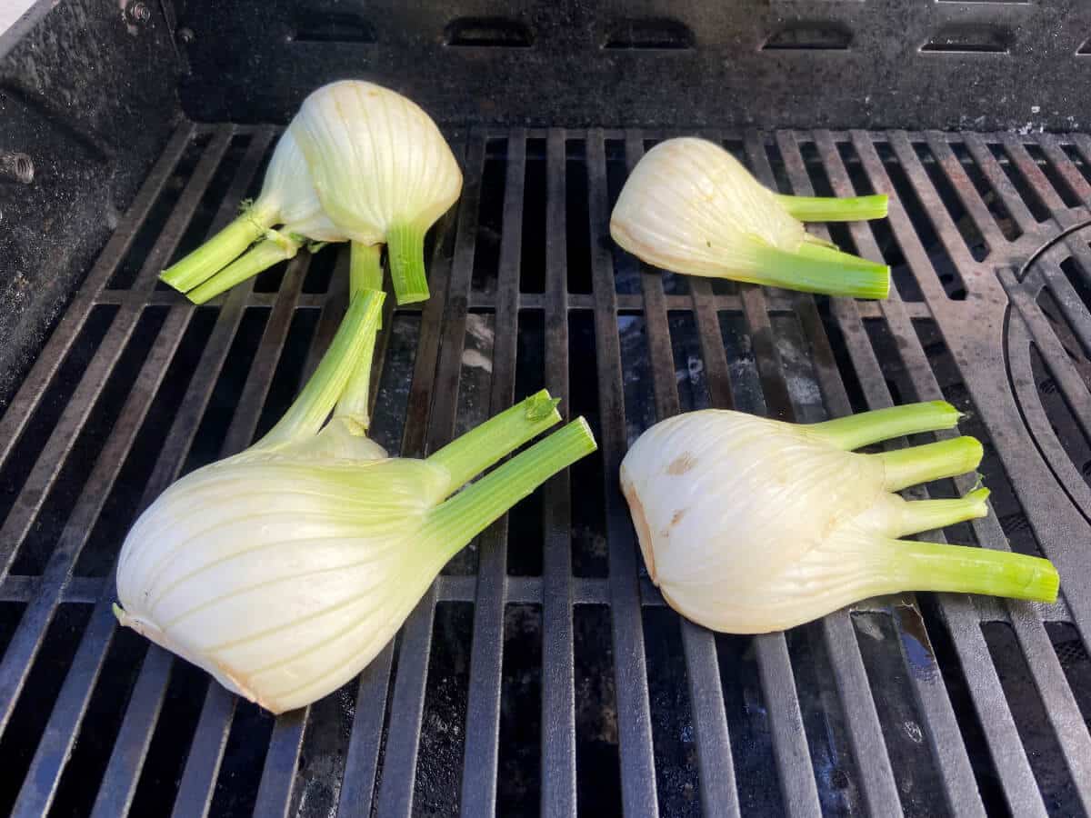 Fenchel grillen – so gelingt die tolle Knolle perfekt
