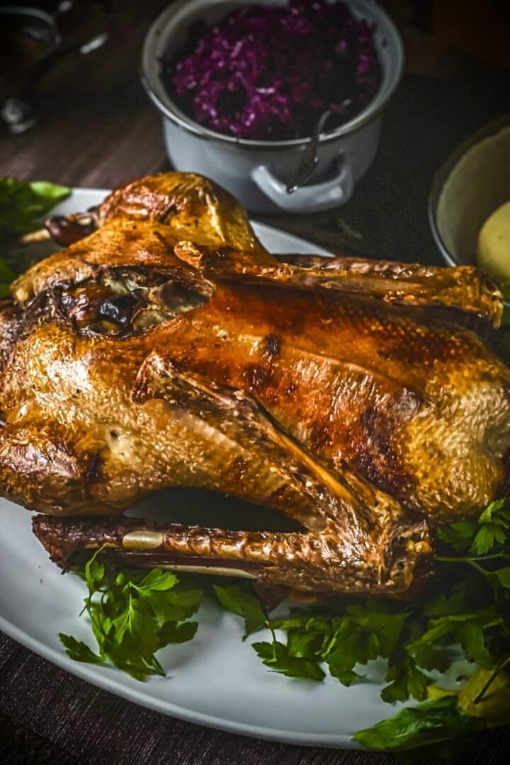 Perfekter Gänsebraten | knuspriger und zarter Klassiker