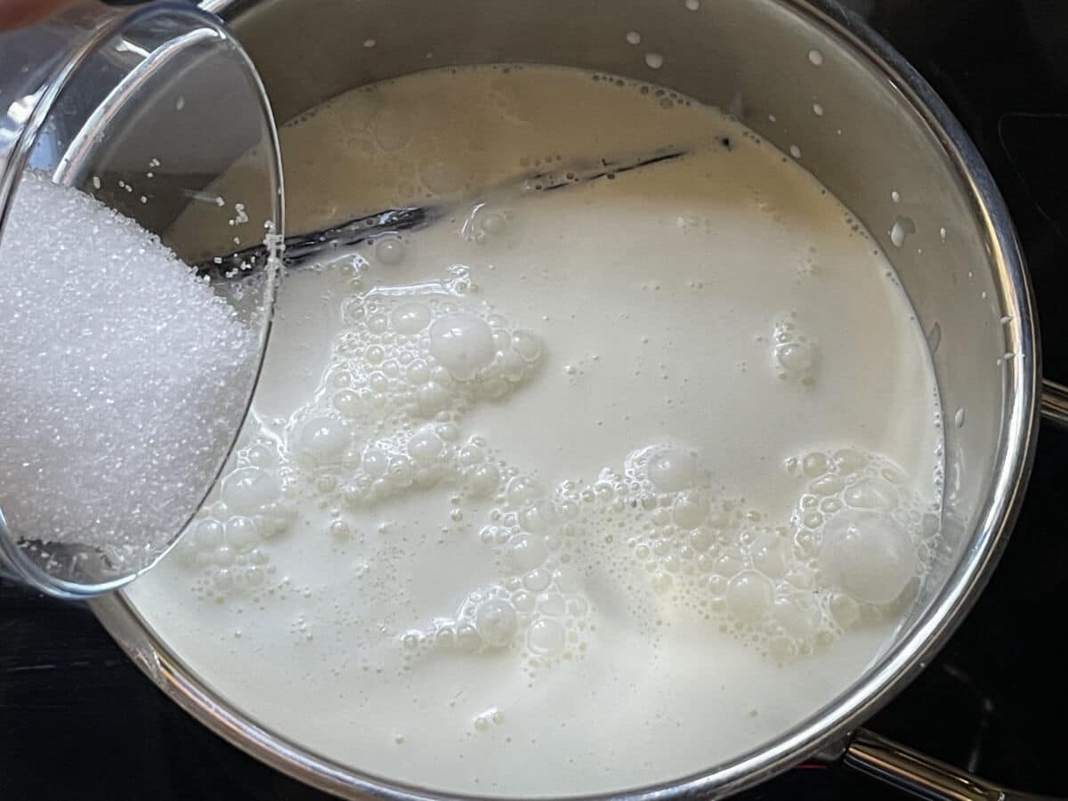 Panna Cotta | einfach, klassisch und lecker