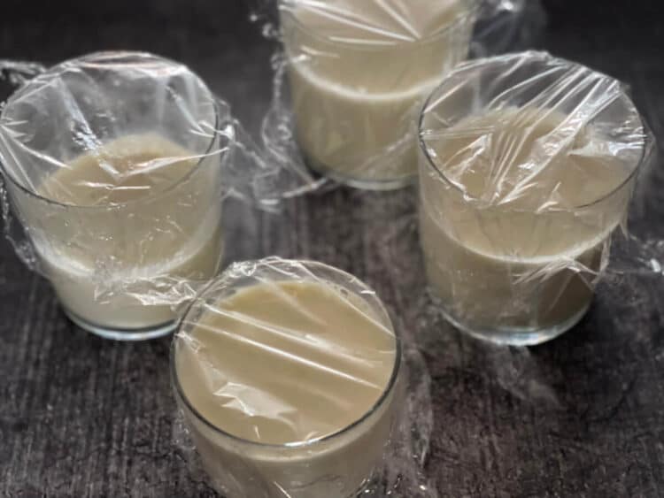 Panna Cotta | einfach, klassisch und lecker