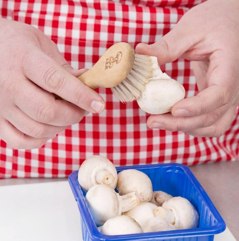 Pilze trocknen | Anleitung und Tipps zum Fehler vermeiden